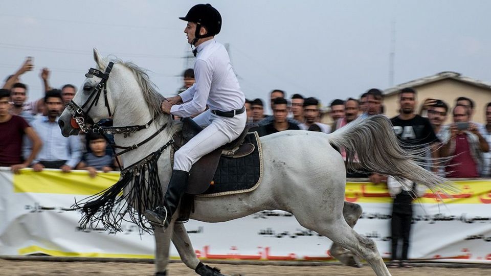 جشنواره اسب کُرد